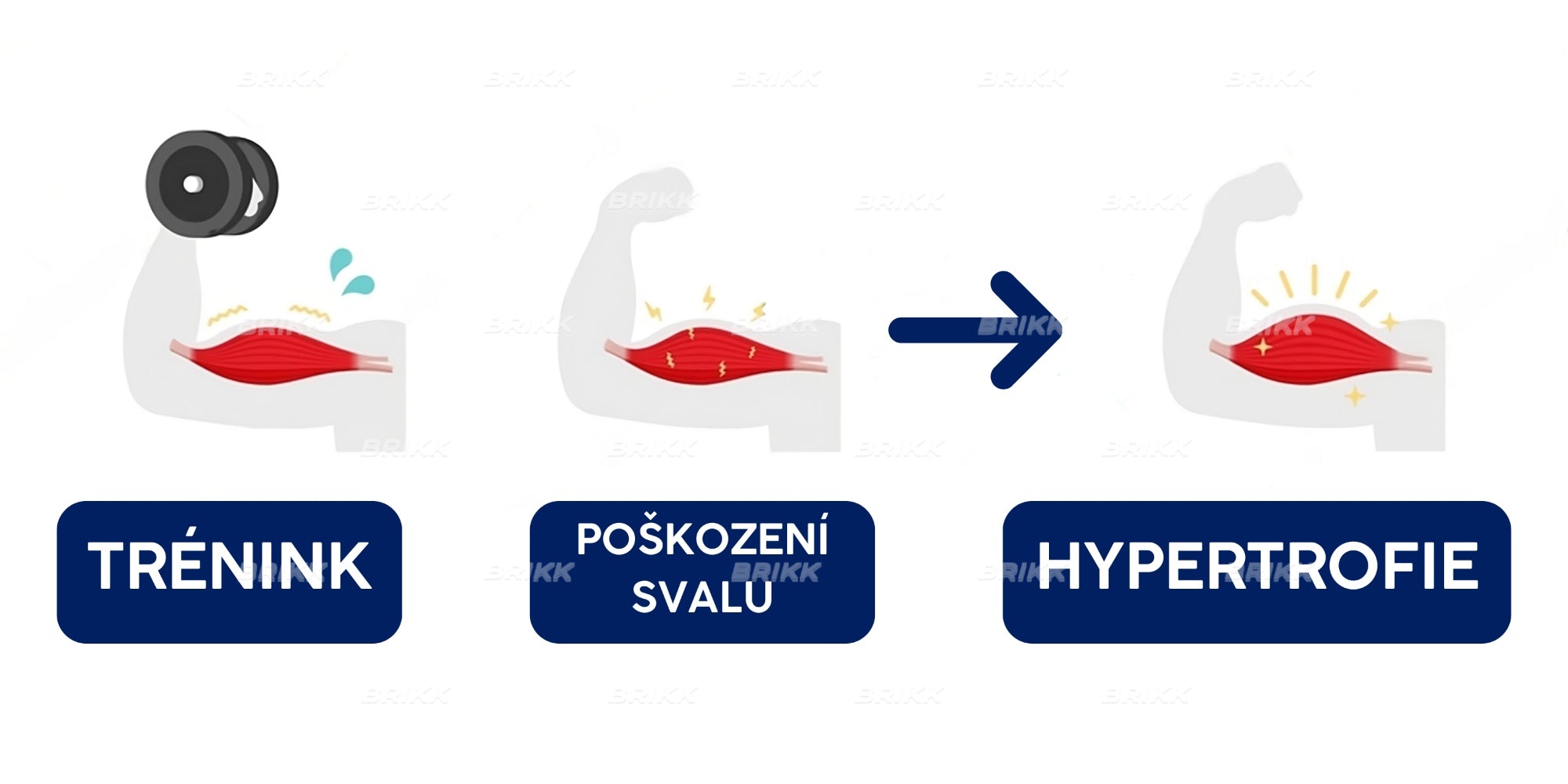 Trénujte své čelistní a obličejové svaly s BRIKK MastiGum® a JawMaxxer®